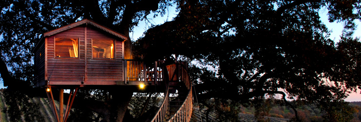 Slapen in een boomhut: Op vakantie in de Mooiste Boomhuthotels
