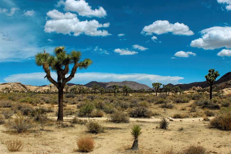 10 van de Mooiste en Grootste Woestijnen ter Wereld - Tix Travel Blog